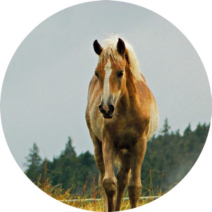 Designové magnety - NBvysivani.cz